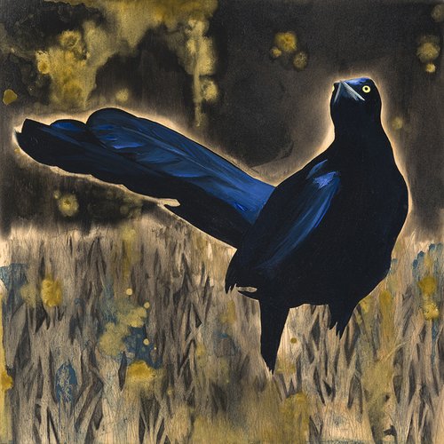 Eclipse Grackle #30 - Carly Weaver - 8 x 8" - Austin Art Garage