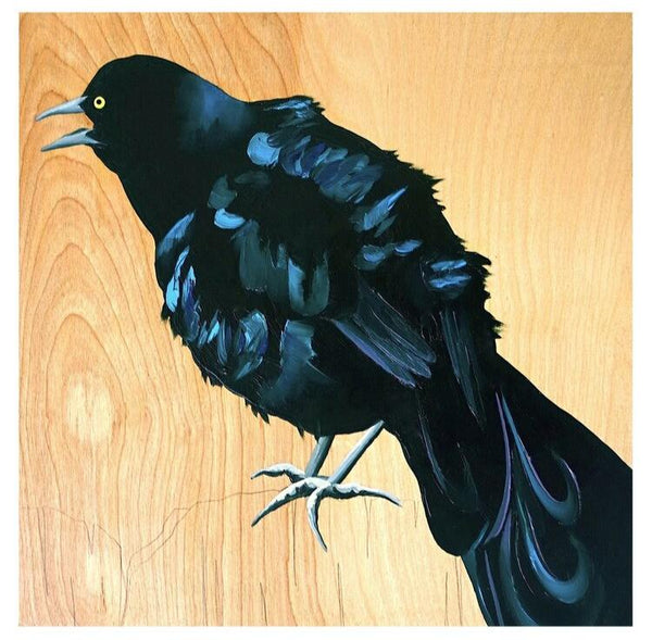 Grackle #21 - Carly Weaver - 8 x 8" - Austin Art Garage