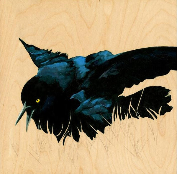 Grackle #26 - Carly Weaver - 8 x 8" - Austin Art Garage
