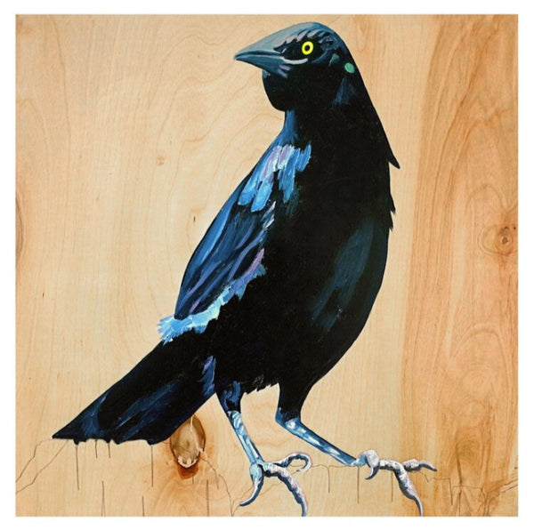Grackle #2 - Carly Weaver - 8 x 8" - Austin Art Garage