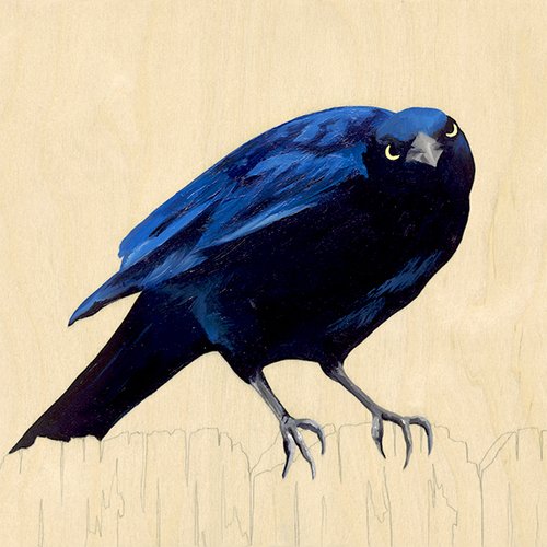 Grackle #43 - Carly Weaver - 8 x 8" - Austin Art Garage