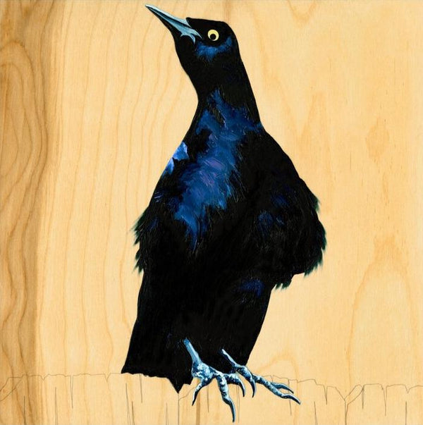 Grackle #9 - Carly Weaver - 8 x 8" - Austin Art Garage