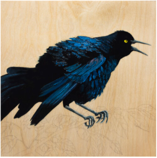 Grackle #40 - Carly Weaver - 8x8" - Austin Art Garage
