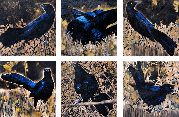 Carly Weaver | Austin Artist - Austin Art Garage
