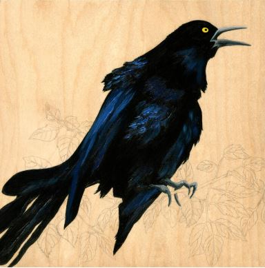Grackle #38 - Carly Weaver - 8 x 8" - Austin Art Garage