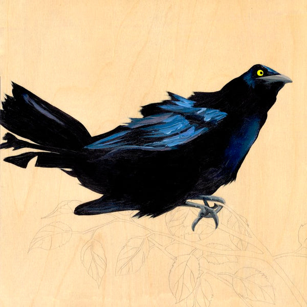 Grackle #24 - Carly Weaver - 8 x 8" - Austin Art Garage