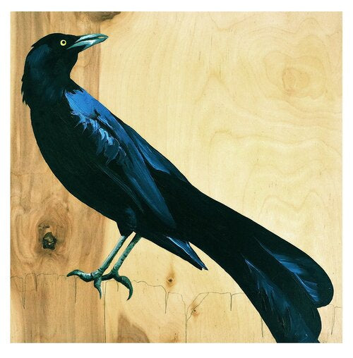 Grackle #18 - Carly Weaver - 8x8" - Austin Art Garage