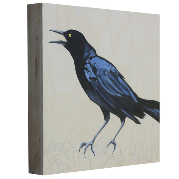 Grackle #45 - Carly Weaver - 8 x 8" - Austin Art Garage
