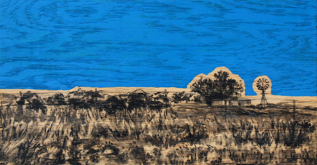 Carly Weaver | Austin Artist - Austin Art Garage