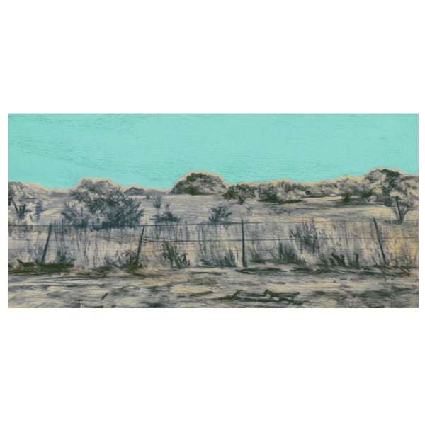 Carly Weaver | Austin Artist - Austin Art Garage